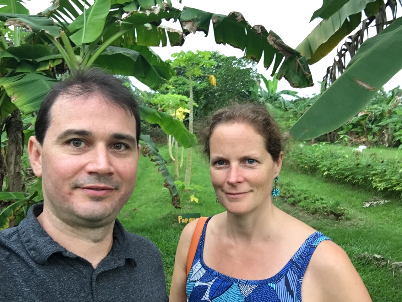 Bollywood farm – Traveler Tina